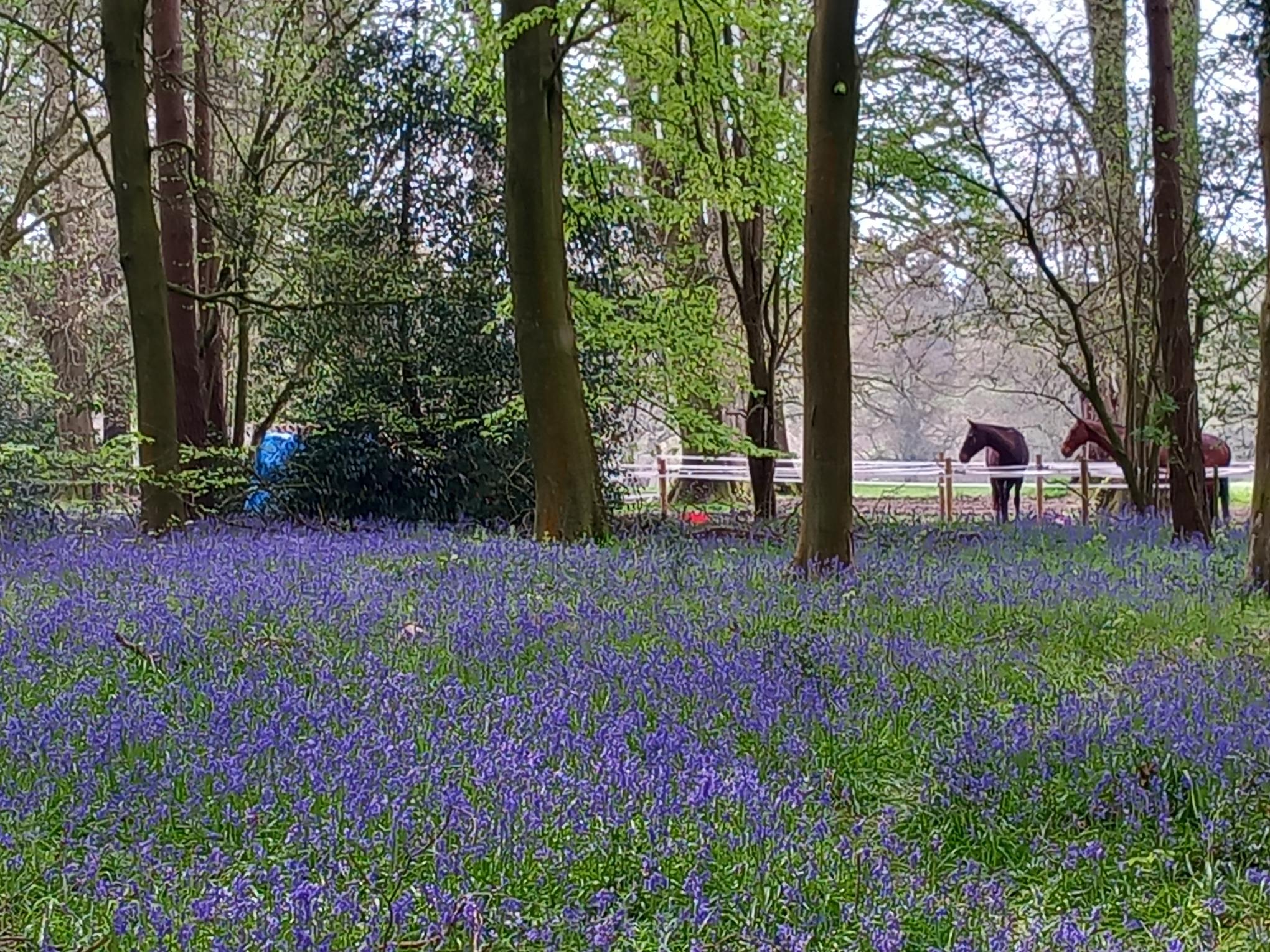 May 2023 – The Penn and Tylers Green Blog