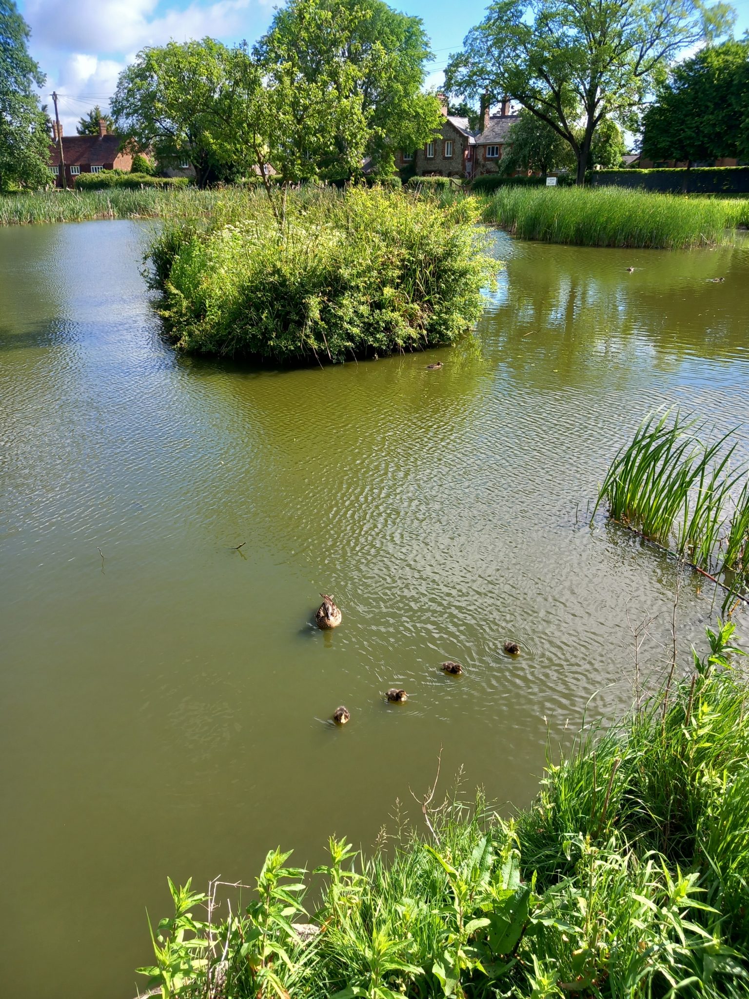 The Penn and Tylers Green Blog – The Penn and Tylers Green Blog