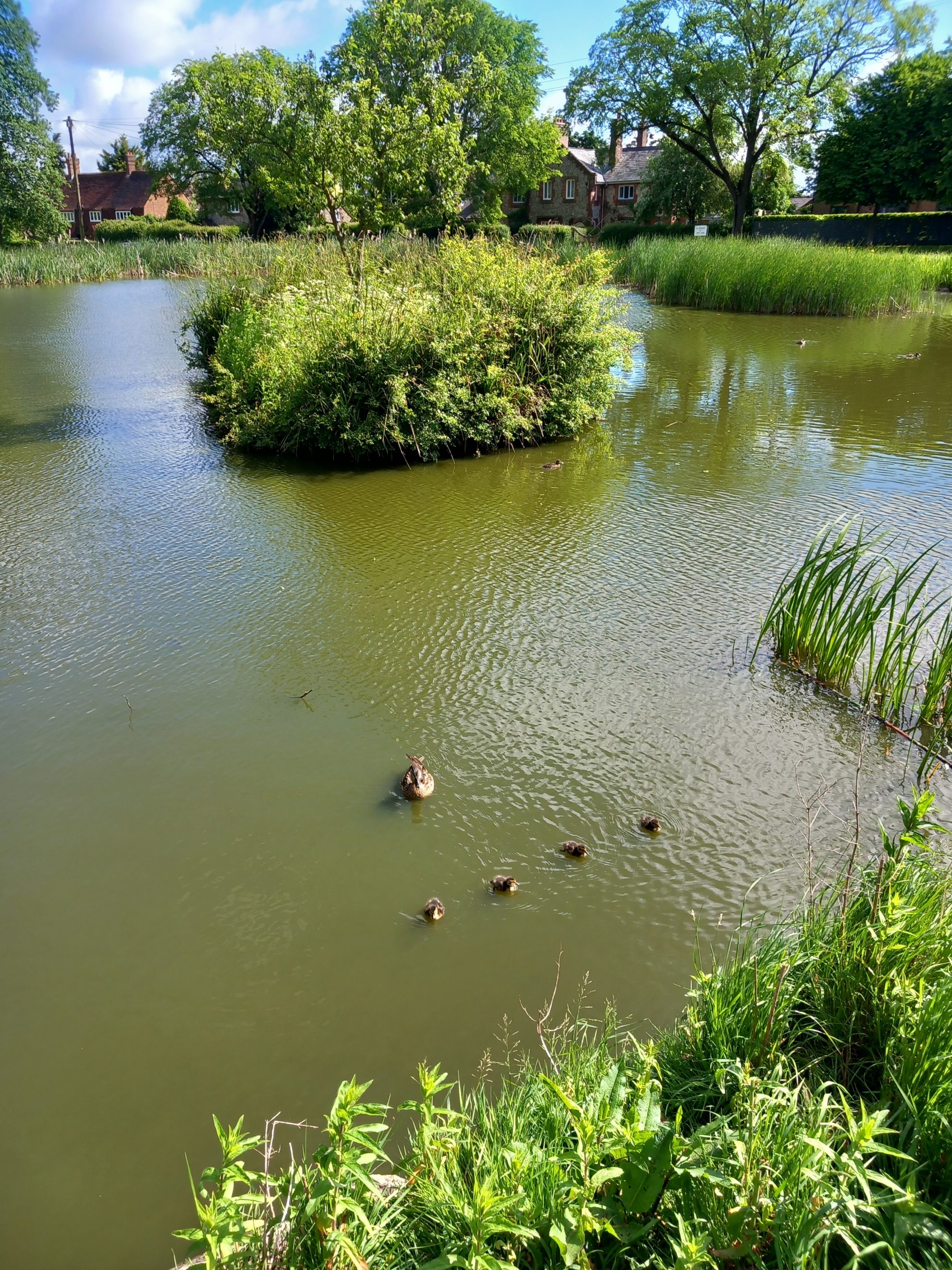 The Penn and Tylers Green Blog – The Penn and Tylers Green Blog