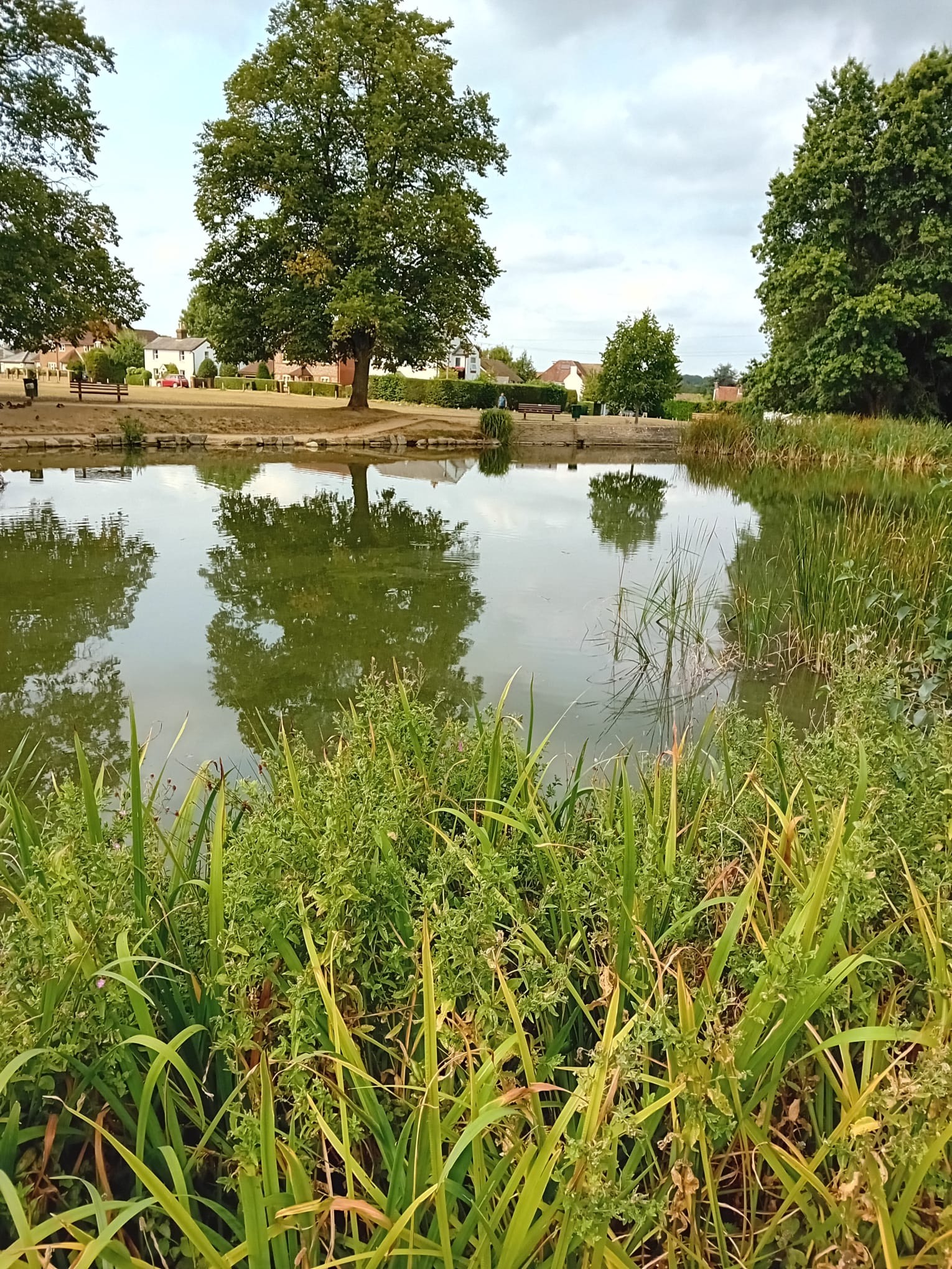 The Penn and Tylers Green Blog – The Penn and Tylers Green Blog